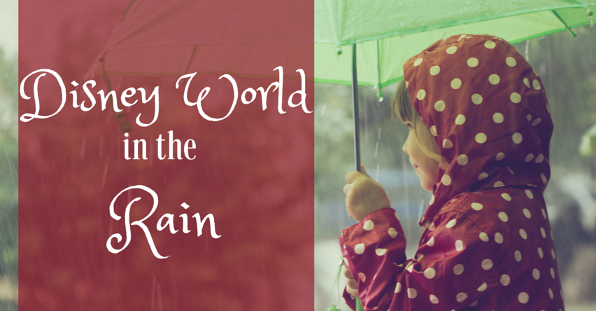 Disney World in the Rain | Group Tours