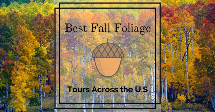 10 Best Fall Foliage Tours Across America | Group Tours
