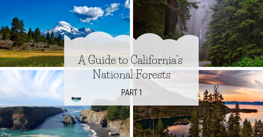 A Guide to California's National Forests: Part 1 | Group Tours